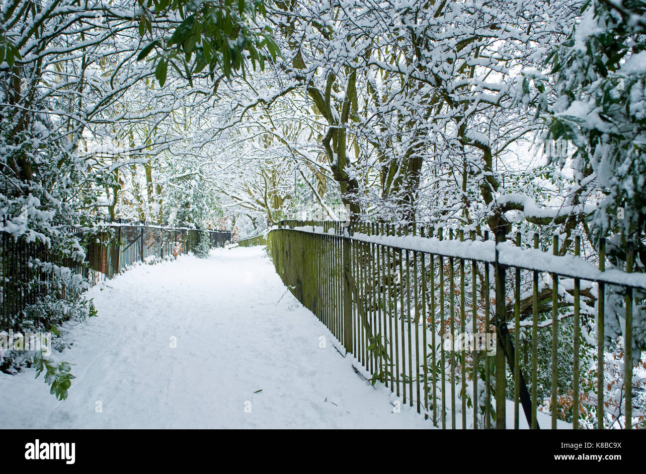 Worsley Woods, Worsley, Manchester Stock Photo - Alamy