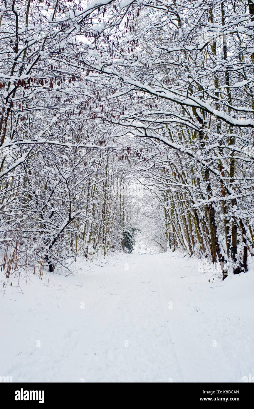 Worsley woods hi-res stock photography and images - Alamy