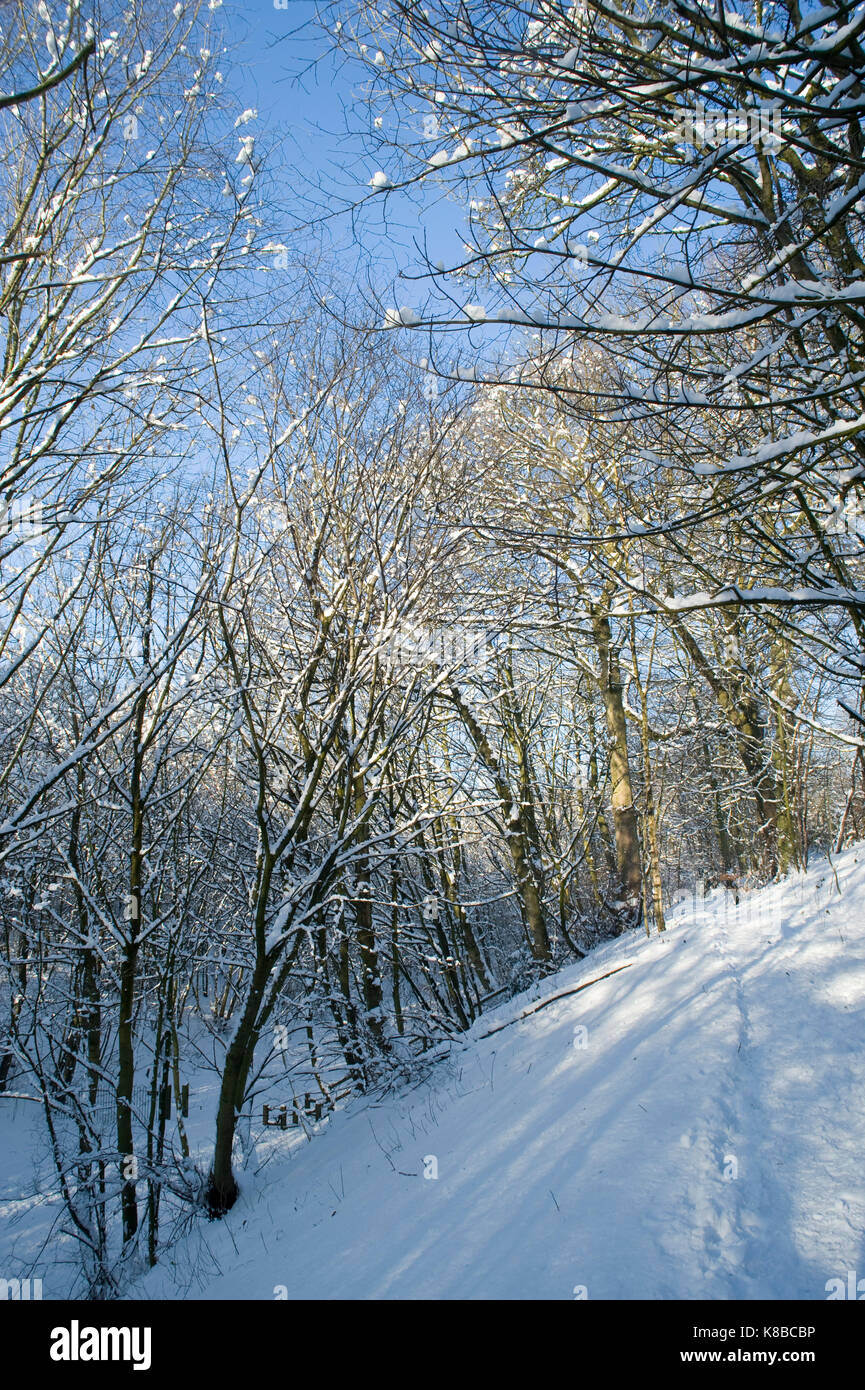 Worsley woods hi-res stock photography and images - Alamy