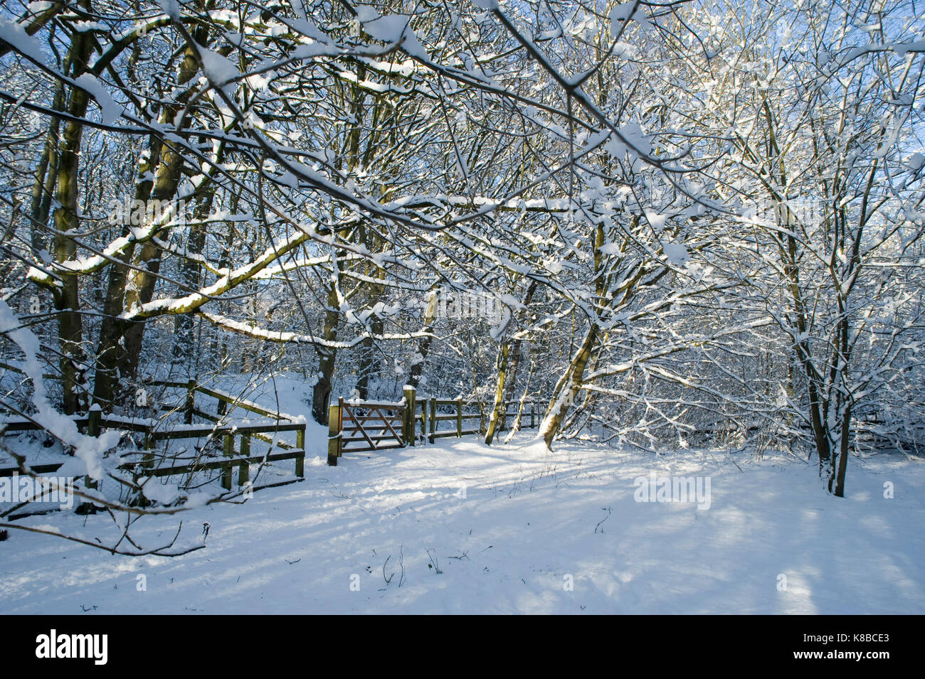 Worsley woods hi-res stock photography and images - Alamy