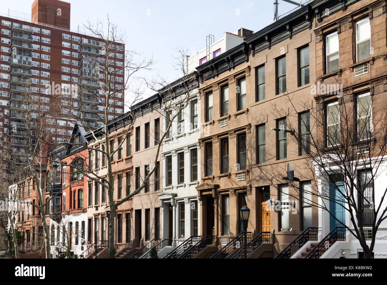Row of historic brownstone buildings with colorful doors along a block ...