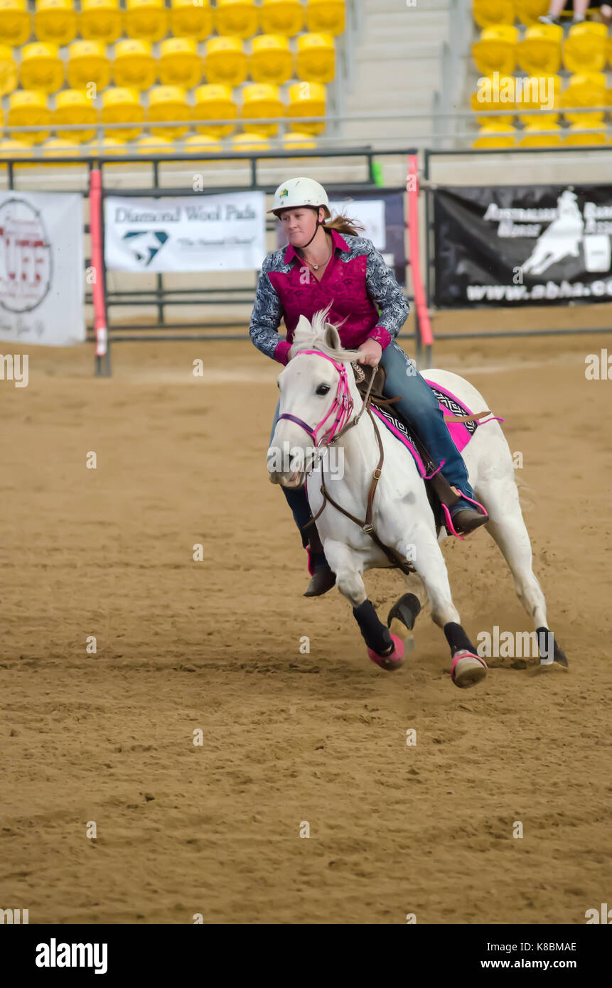 Australian equine and livestock events centre hi-res stock photography ...