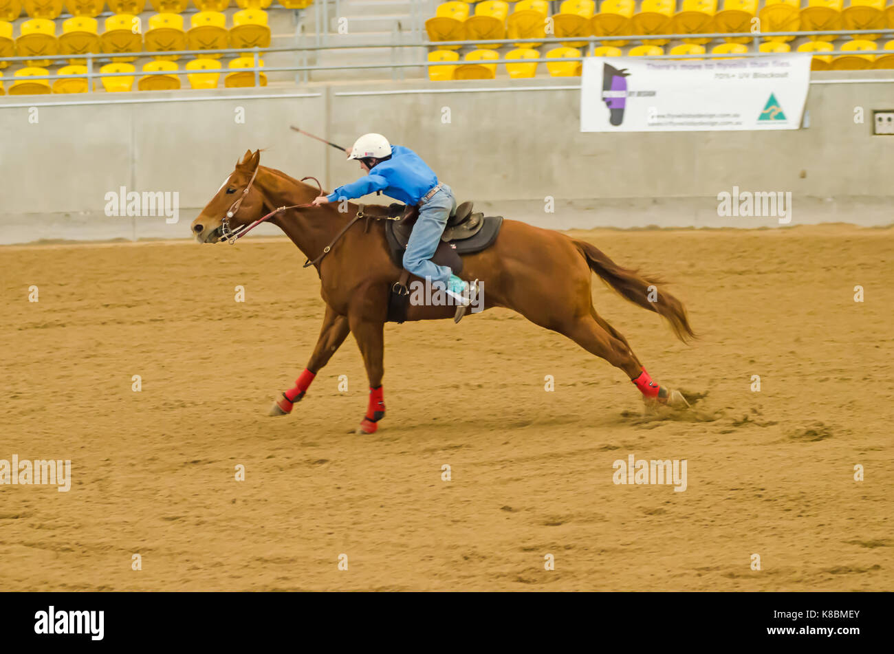 Barrel Racing Arena