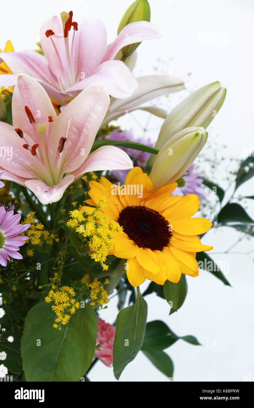 Assorted Flowers High Resolution Stock Photography and Images - Alamy