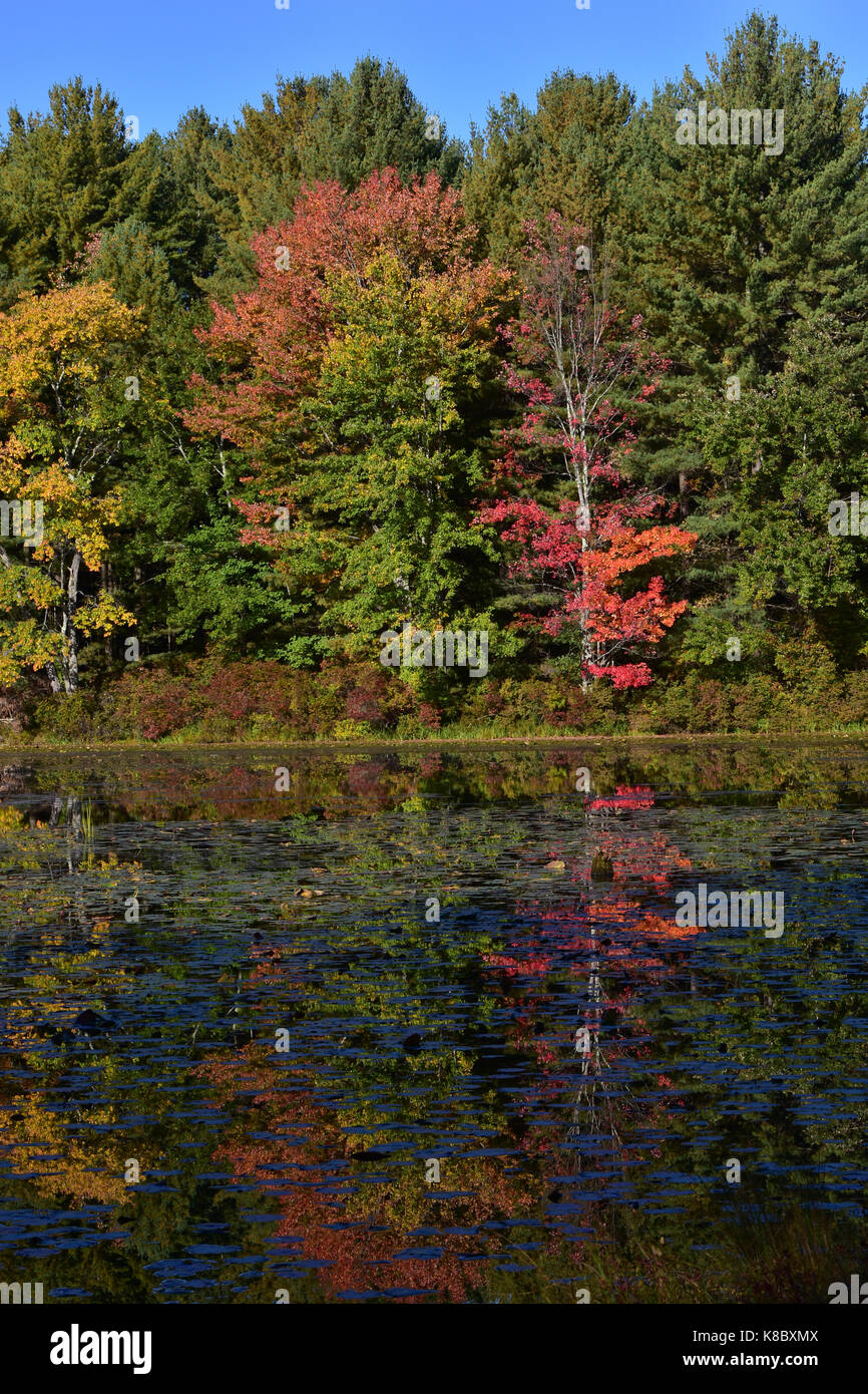 Fall photos hi-res stock photography and images - Alamy