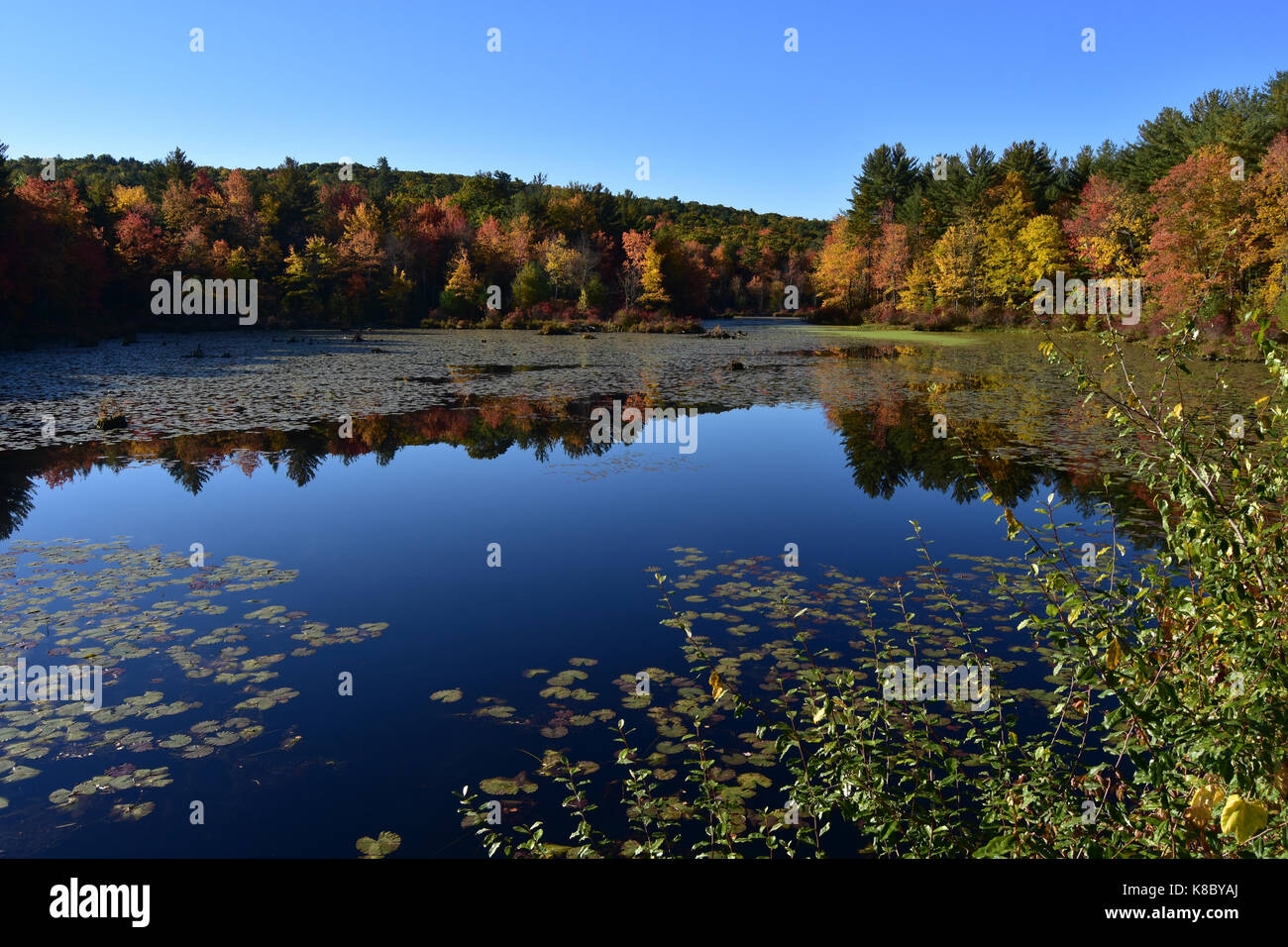 Fall foliage surrounding water inlet Stock Photo - Alamy