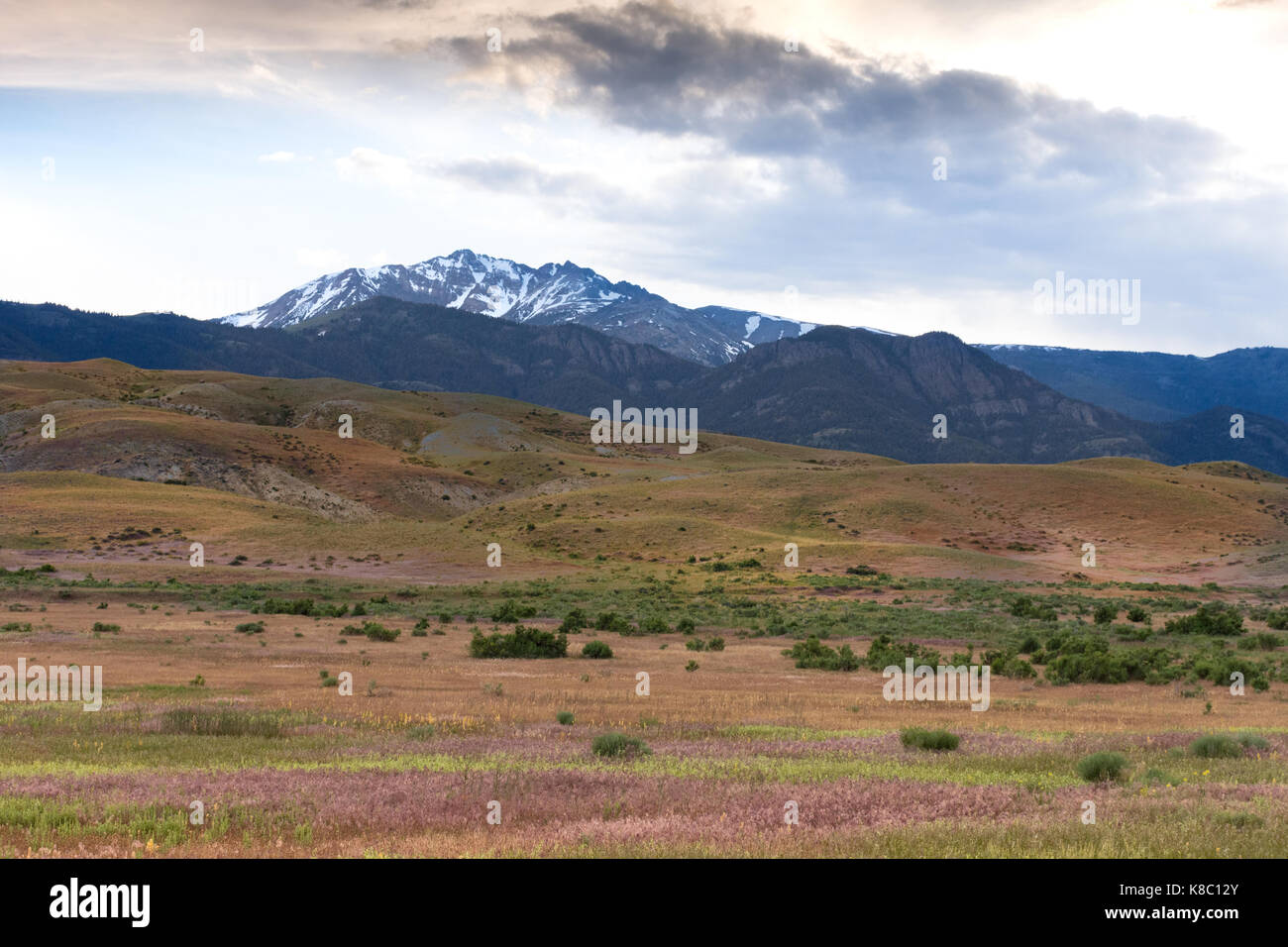 Gallatin mountain range hi-res stock photography and images - Alamy
