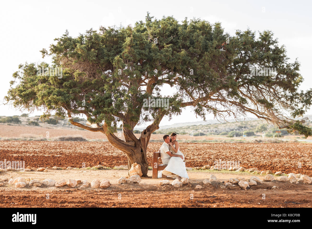 Cute couple sitting under tree hi-res stock photography and images - Alamy