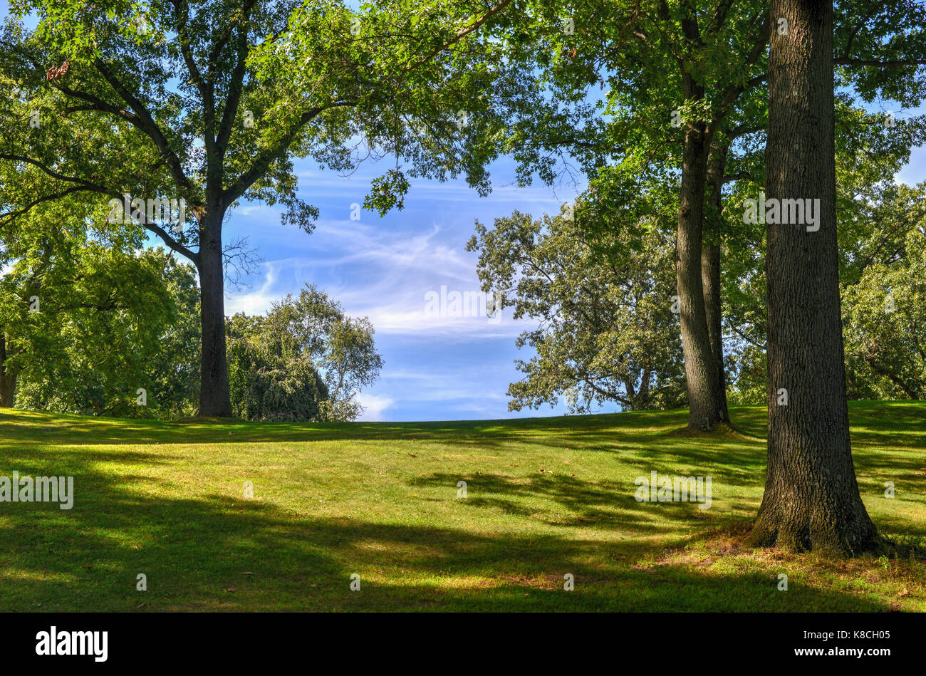 Idyllic Forest Path in upstate New York Stock Photo - Alamy