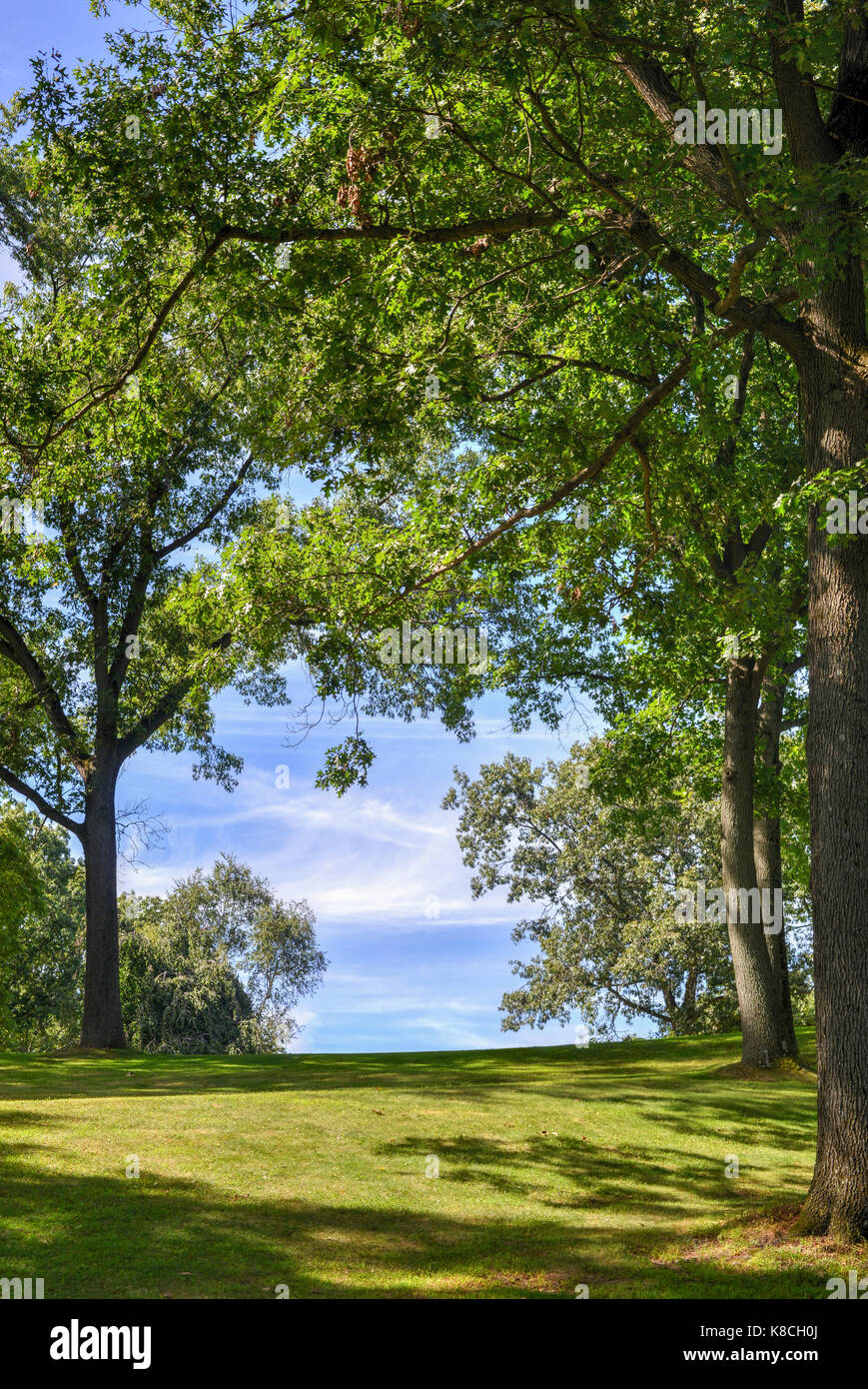 Idyllic Forest Path in upstate New York Stock Photo - Alamy