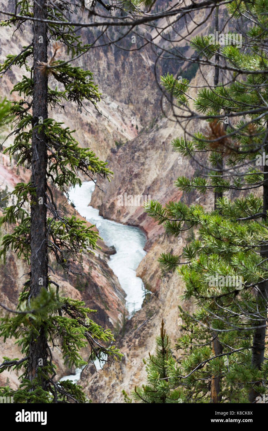 The Yellowstone River with colorful canyon walls in the background and ...