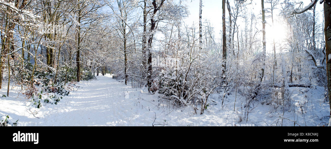Worsley woods hi-res stock photography and images - Alamy