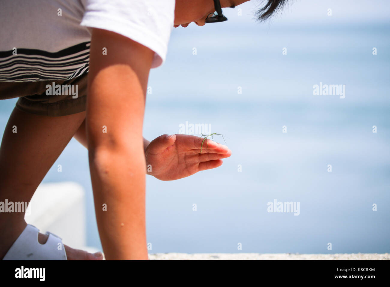Bug boy hi-res stock photography and images - Alamy
