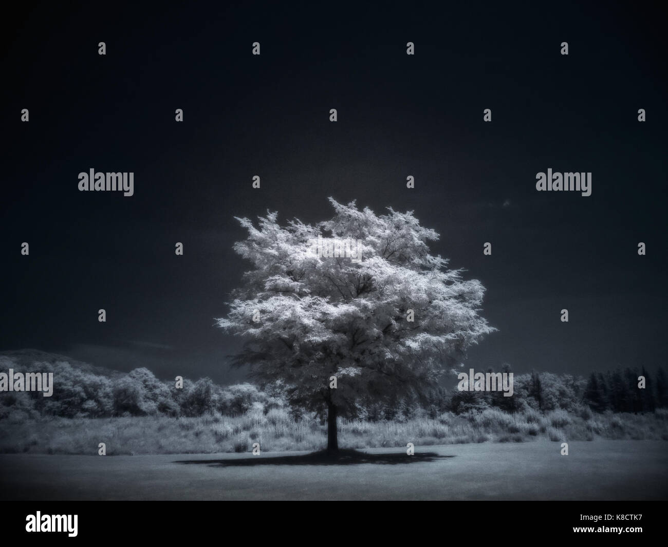 Infrared rays hi-res stock photography and images - Alamy