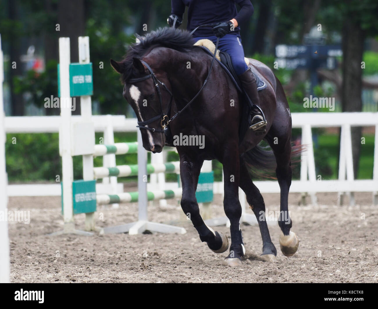 Obstacle race hi-res stock photography and images - Alamy