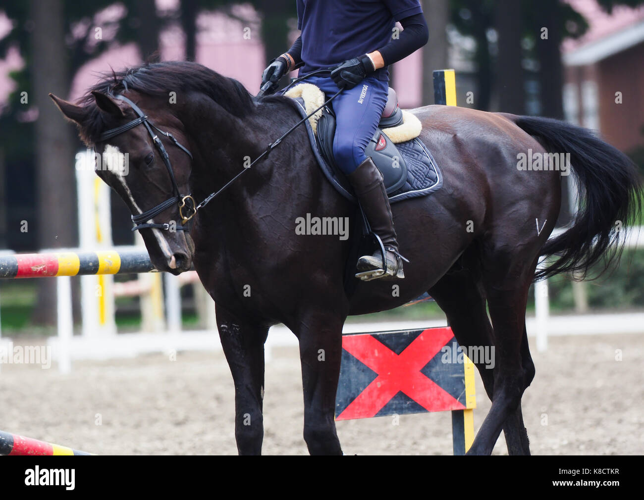 Obstacle race hi-res stock photography and images - Alamy