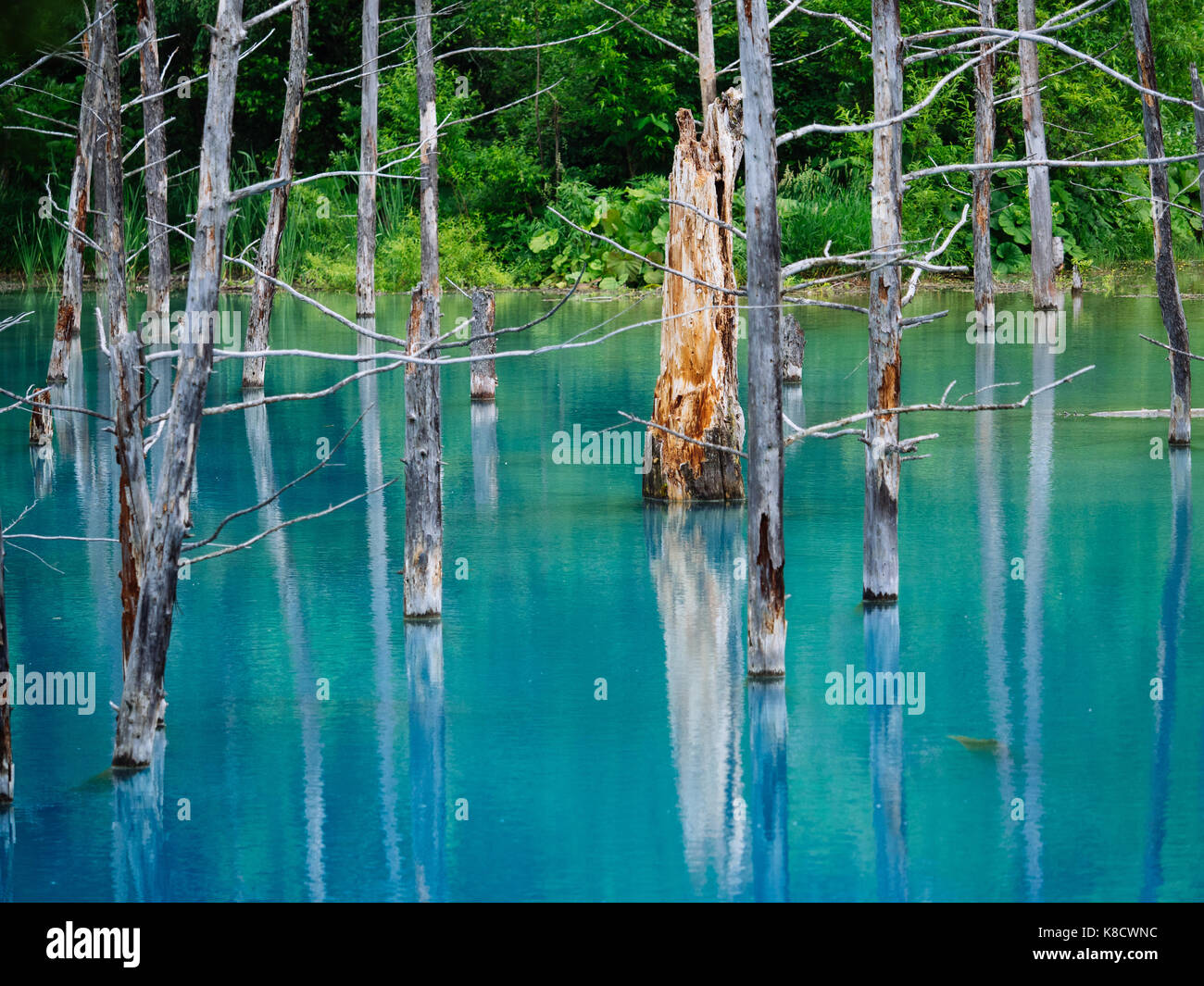 Biei Hokkaido Blue Pond Stock Photos & Biei Hokkaido Blue Pond Stock ...