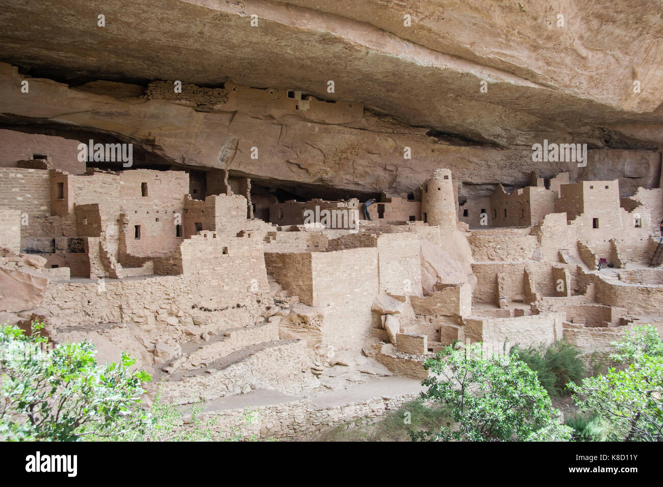 Cliff Palace, ancient puebloan village of houses and dwellings in Mesa ...