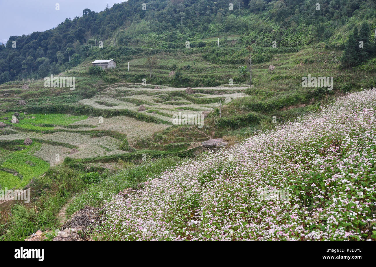 Giac background hi-res stock photography and images - Alamy