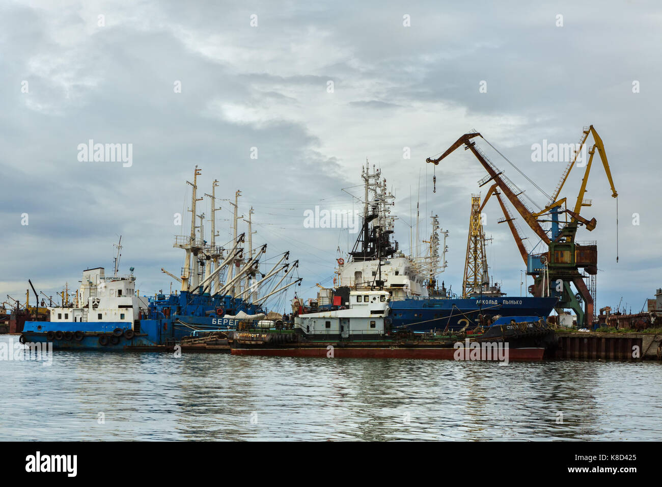 Border patrol ships of the Coast Guard and harbor cranes near the coast ...