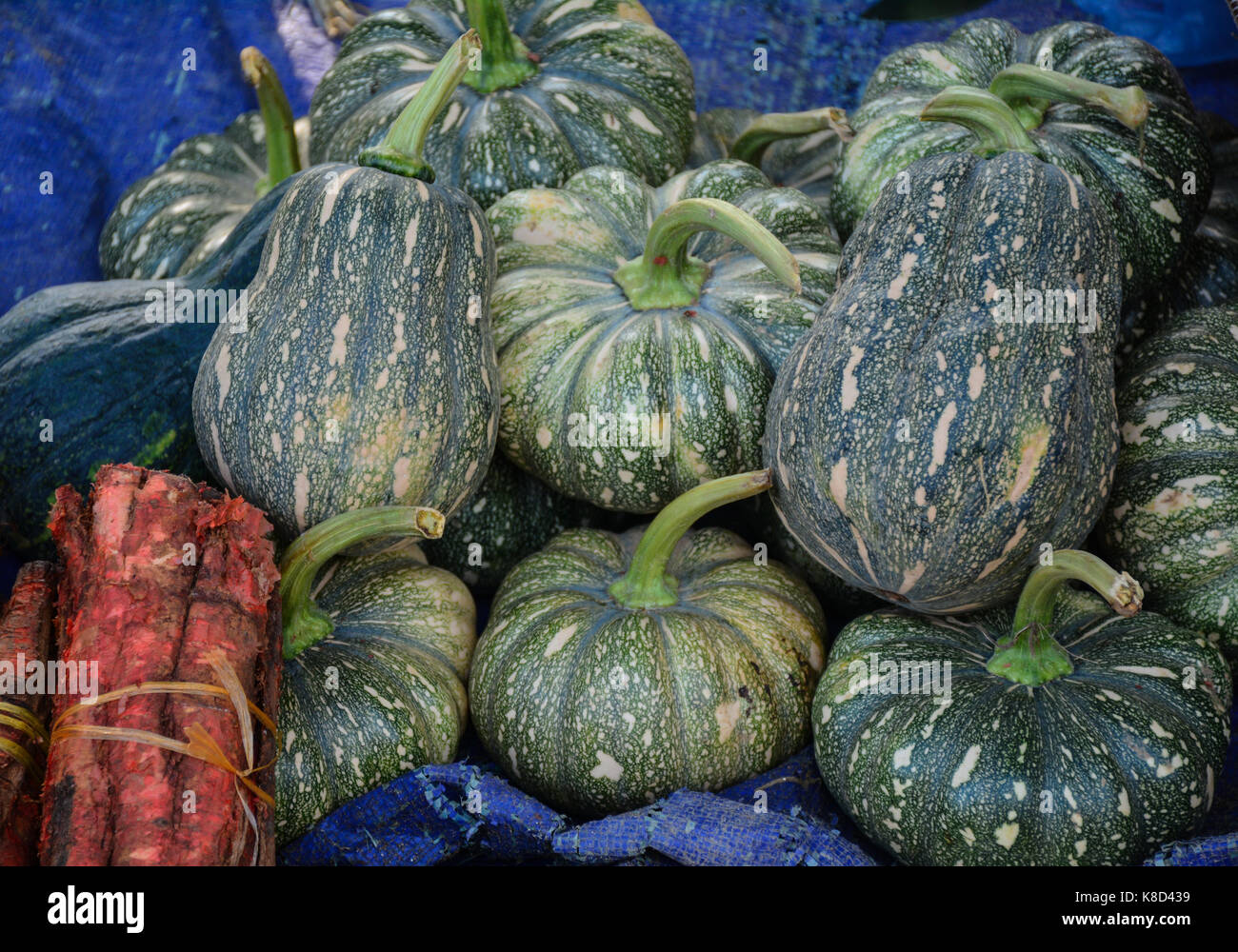Green pumpkin fruits for sale at rural market in Hanoi, Vietnam Stock ...
