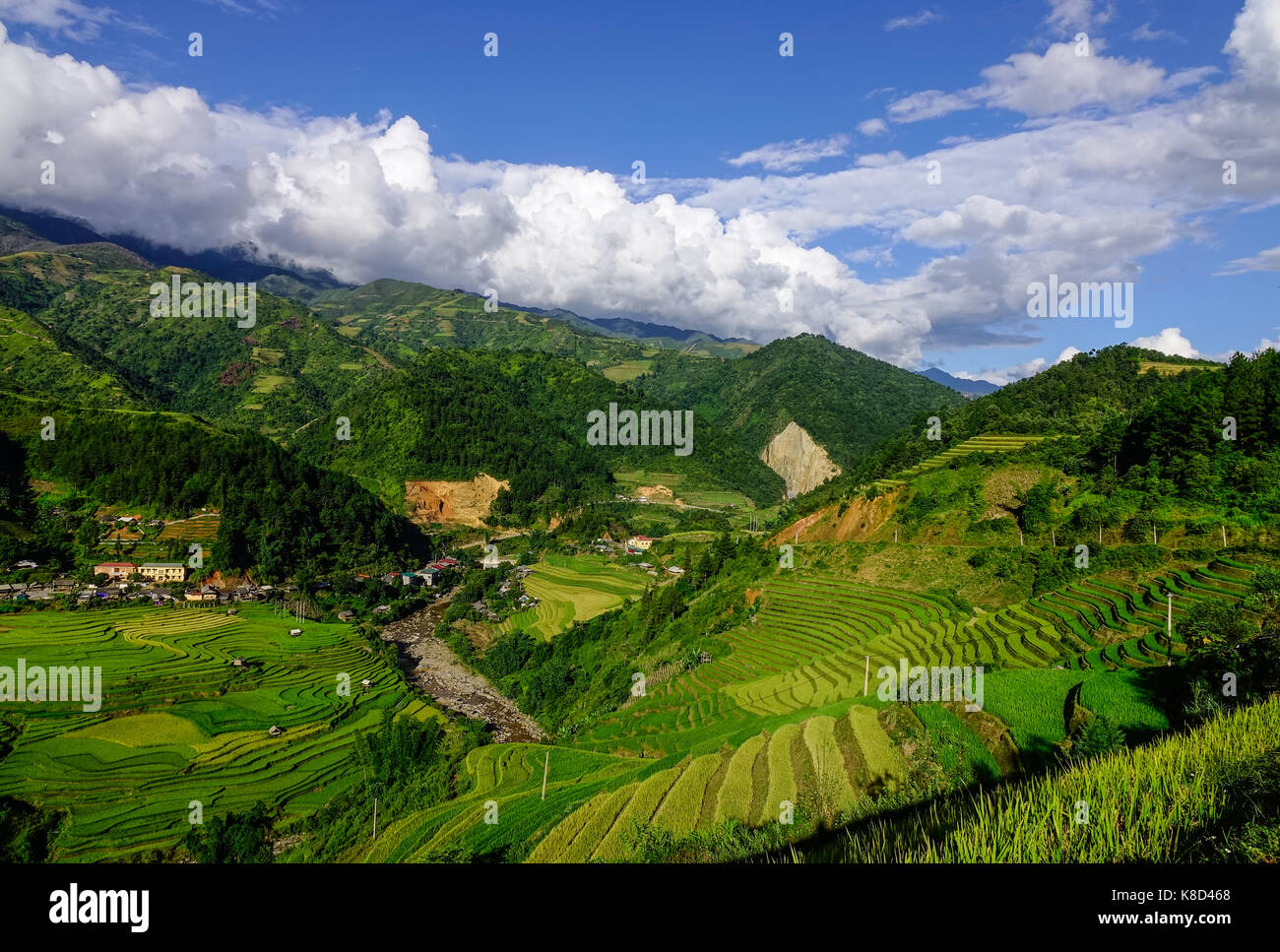 Terraced rice field with small village in Sapa Township, Northern ...