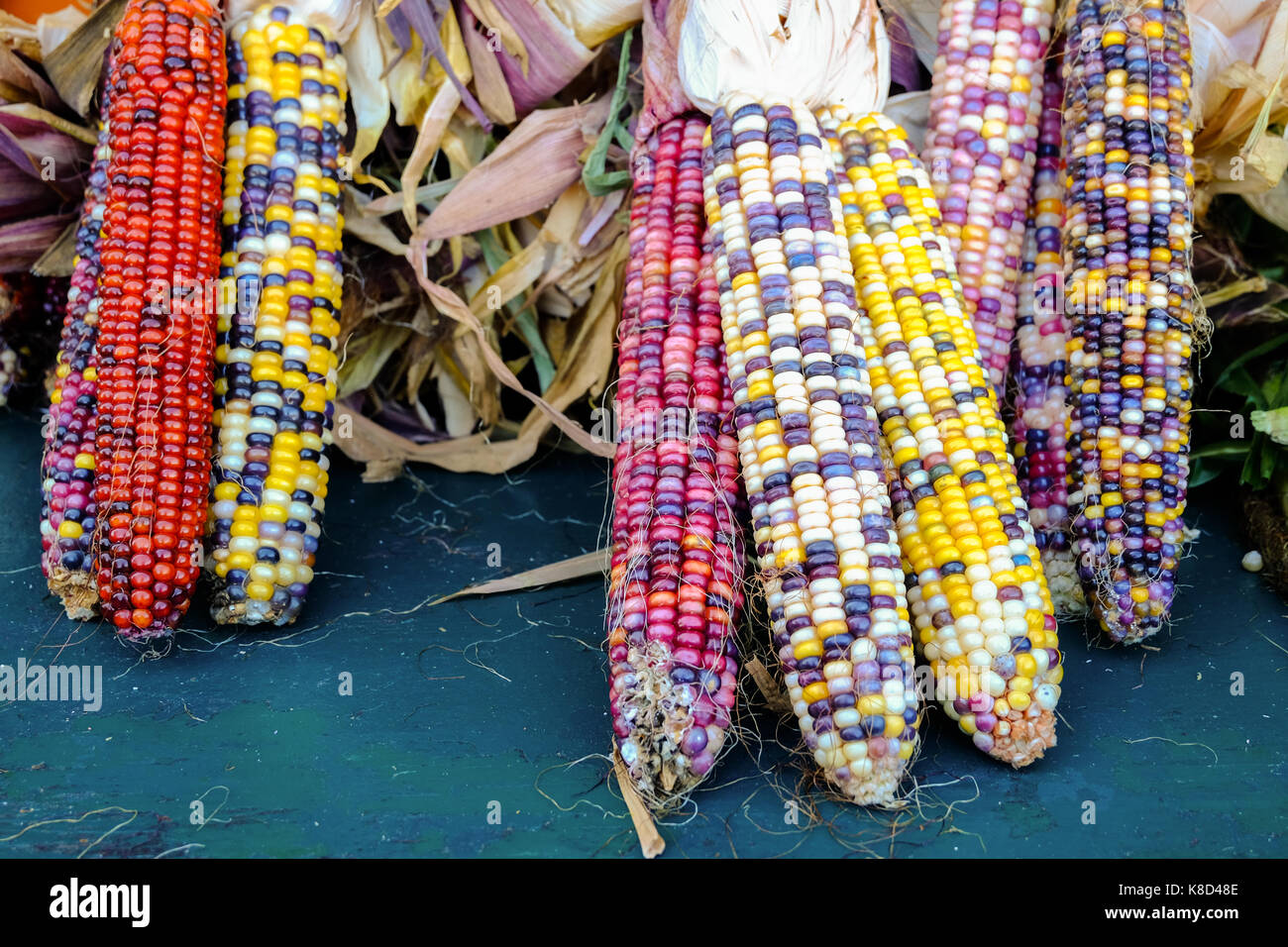 Multicolored Indian Corn at a fresh market Stock Photo - Alamy