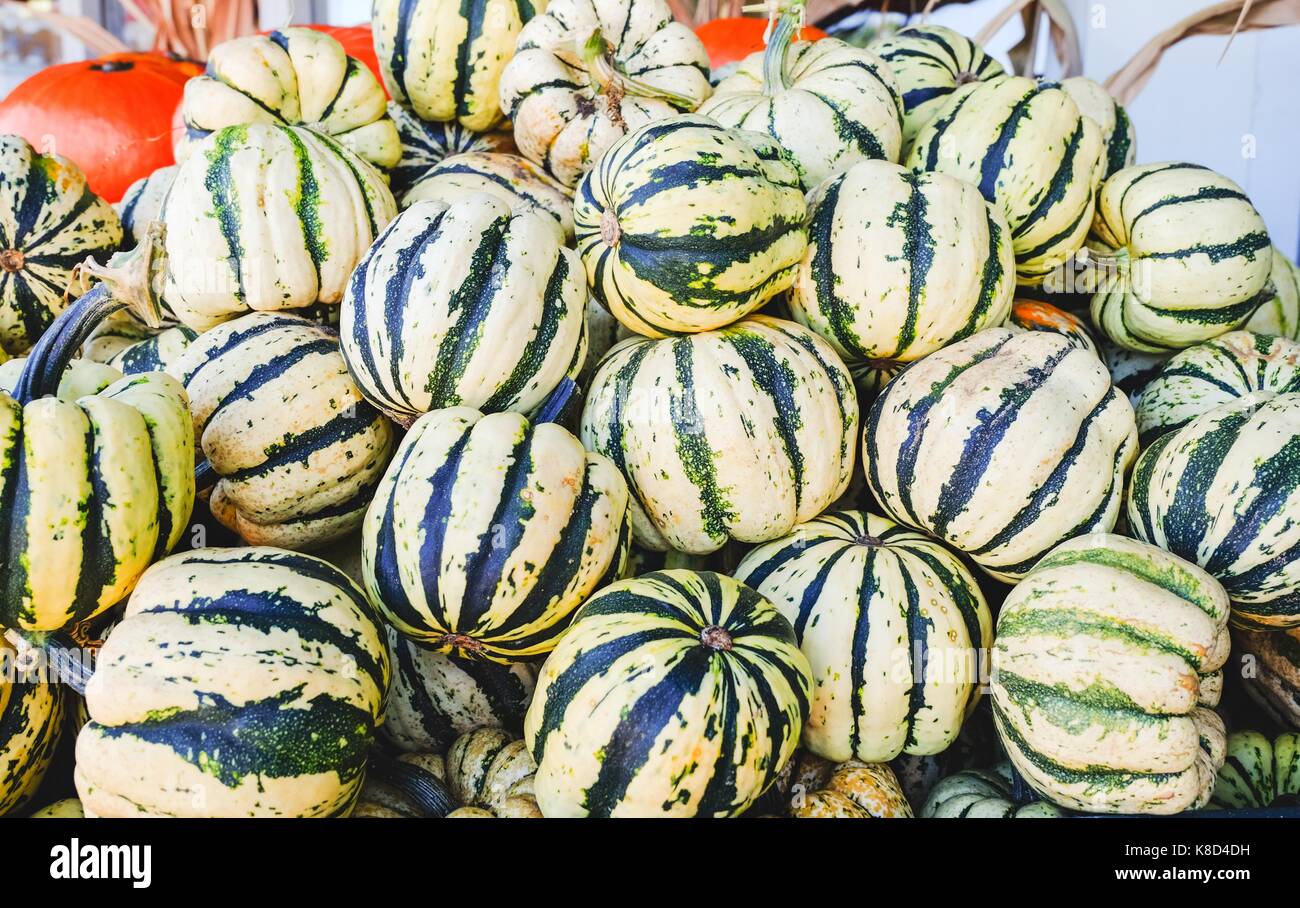 Striped squash hi-res stock photography and images - Alamy