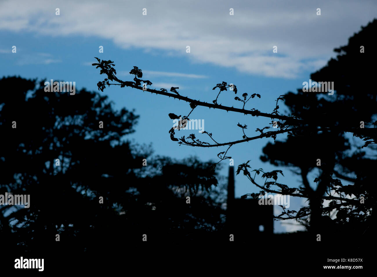 Tin mine, engine house Stock Photo - Alamy