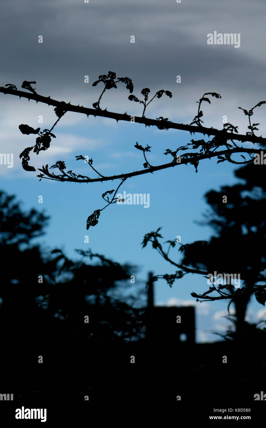 Tin mine, engine house Stock Photo - Alamy