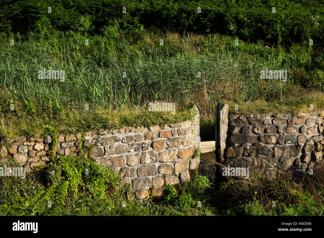 walled mill pond Stock Photo - Alamy