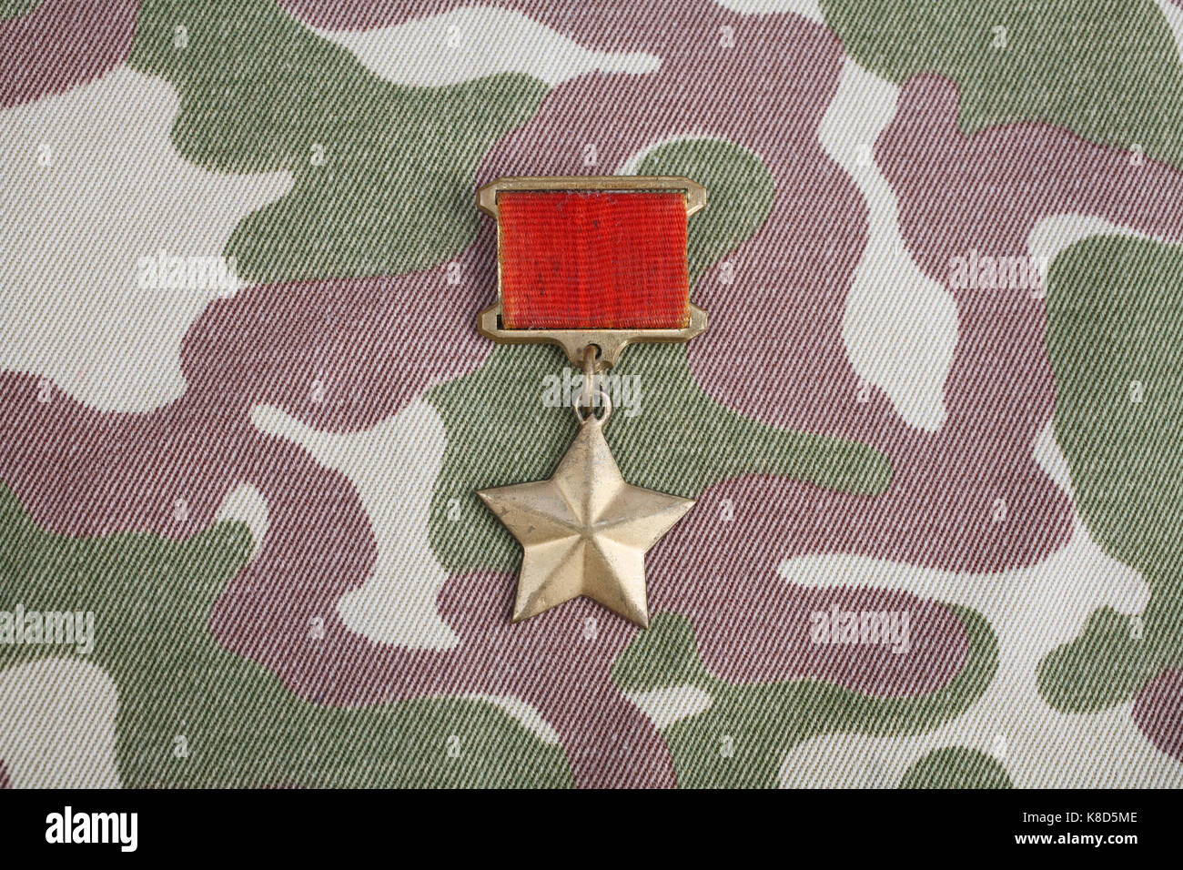 The Gold Star medal is a special insignia that identifies recipients of ...
