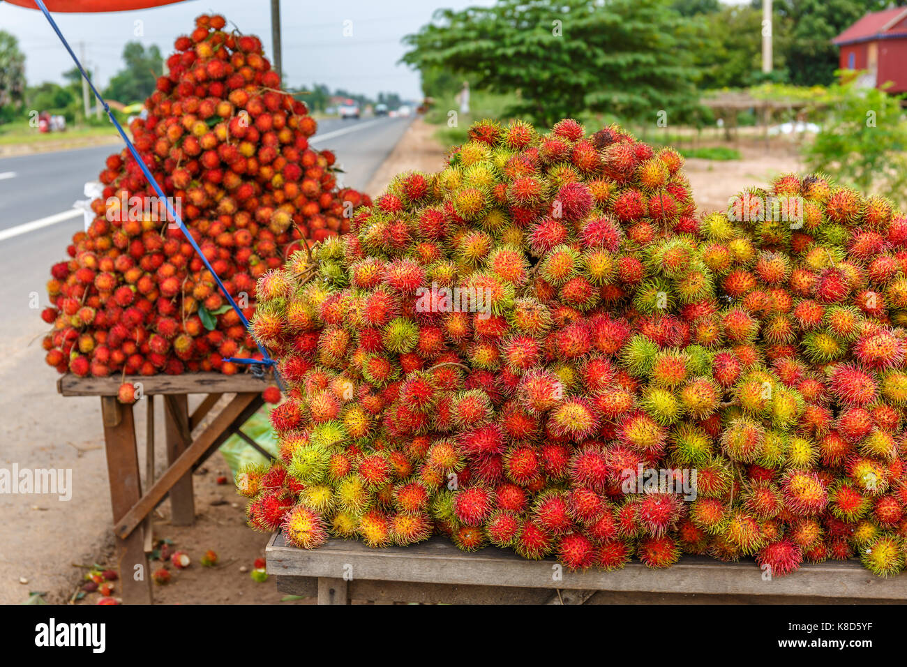 Fresh Ripe Rambutan Displayed for Sale Is the Sweet Juicy Fruit Seen As ...