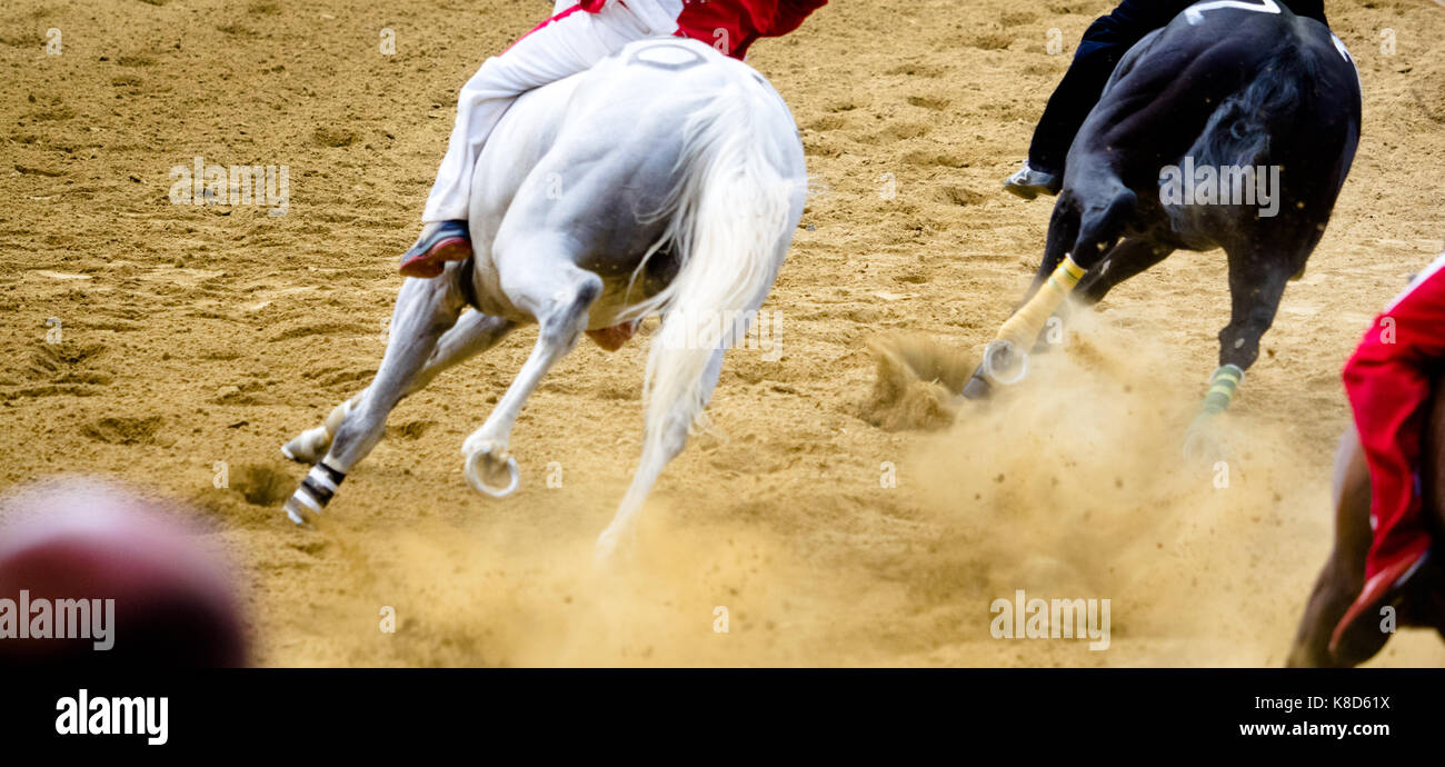 Galloping horse legs hi-res stock photography and images - Alamy
