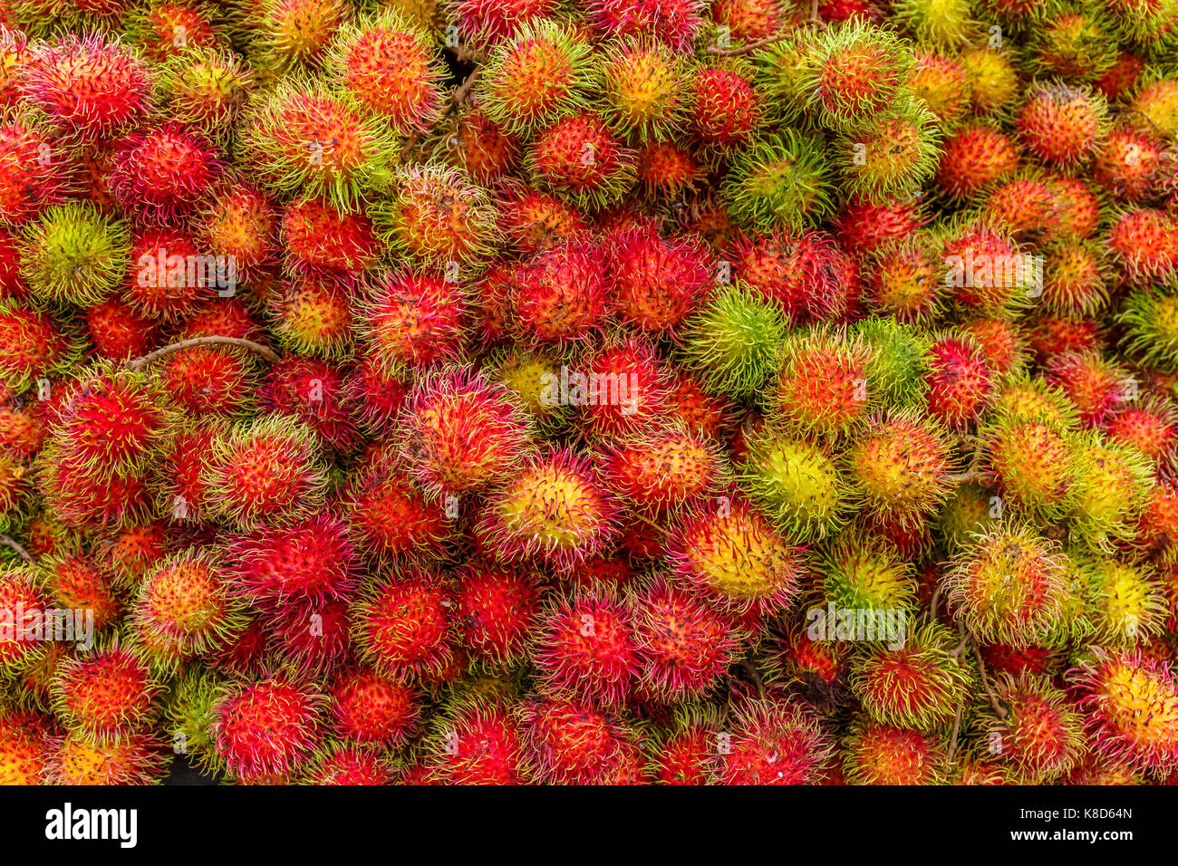 Ripe Rambutan the Popular Juicy Sweet Tropical Fruit Full of Vitamin in ...