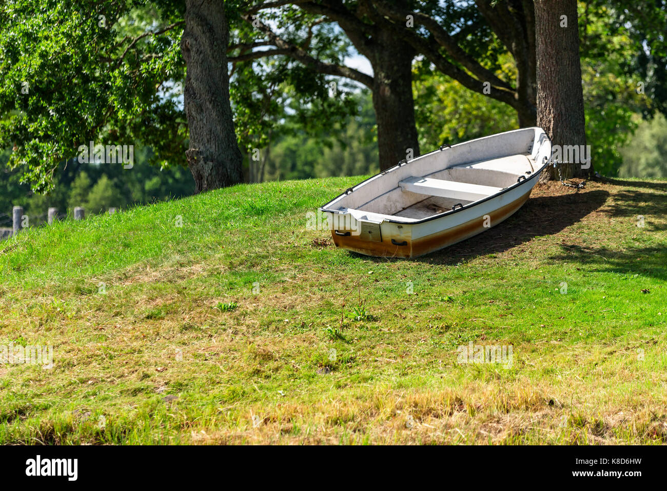 Boat tied to a tree hi-res stock photography and images - Alamy