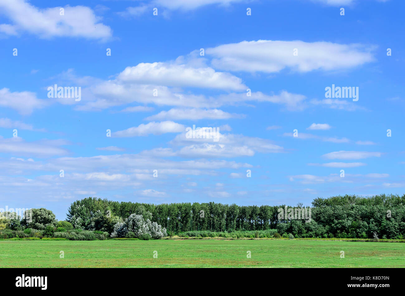 Background from a cloudy sky shot on a typical summer day Stock Photo ...