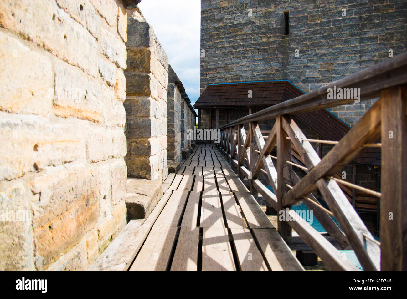 View of kost castle, gothic castle in bohemia Stock Photo - Alamy