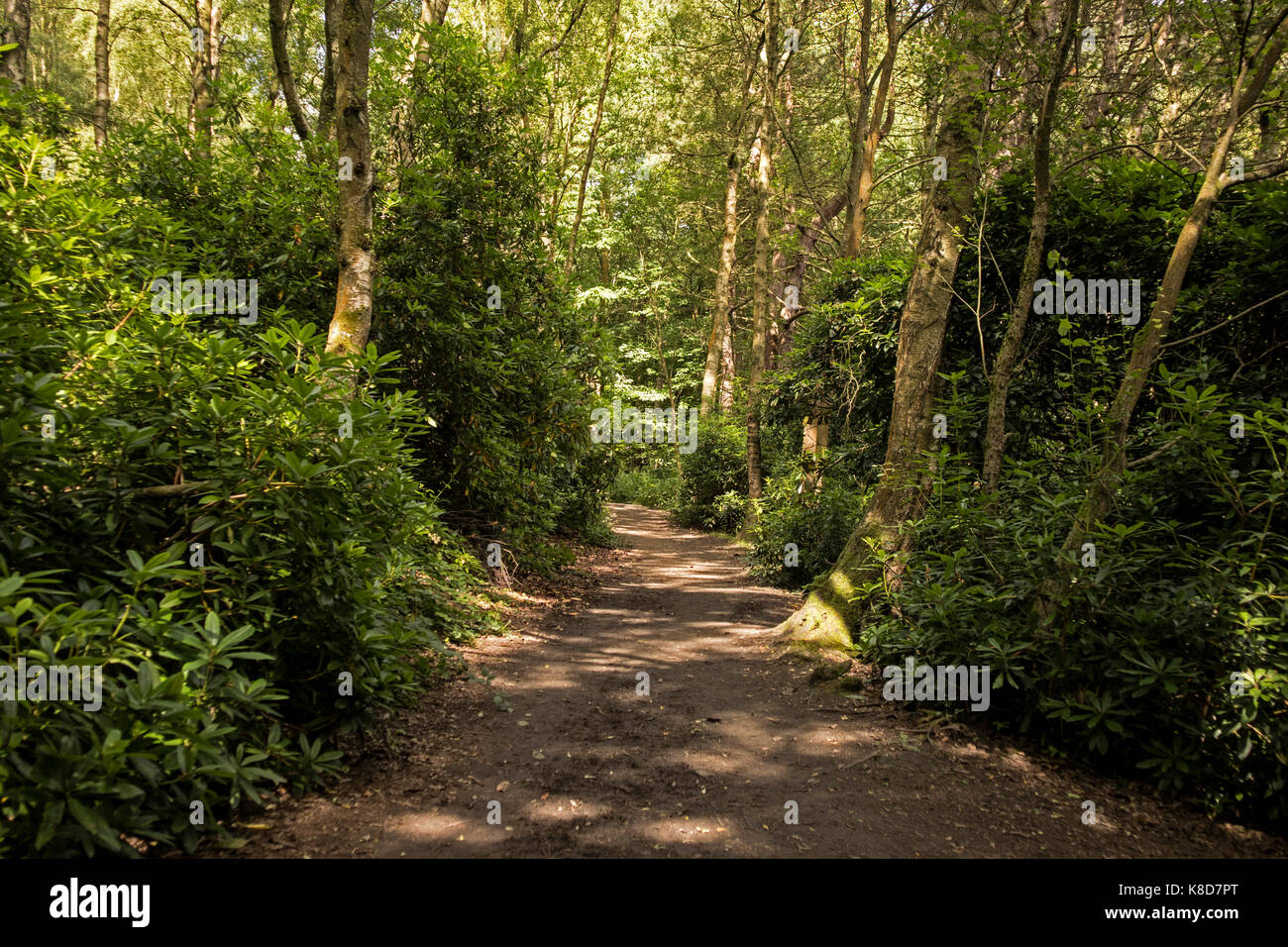 The pathways at Bingley St Ives Estate, at Harden, Bingley, Nr Bradford ...