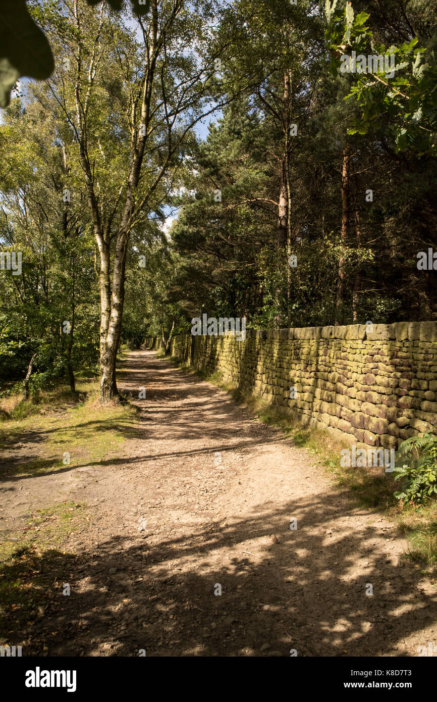 The pathways at Bingley St Ives Estate, at Harden, Bingley, Nr Bradford ...