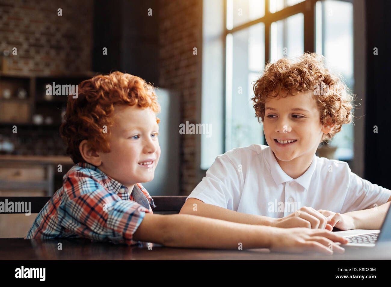 Adorable curly haired brothers spending time together Stock Photo - Alamy