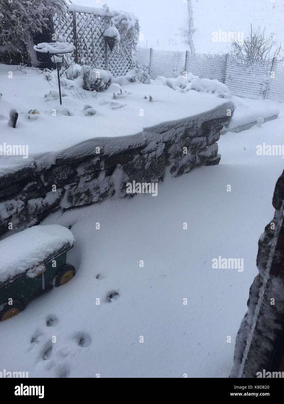 Heavy snow on a back garden in the Peak District Stock Photo - Alamy