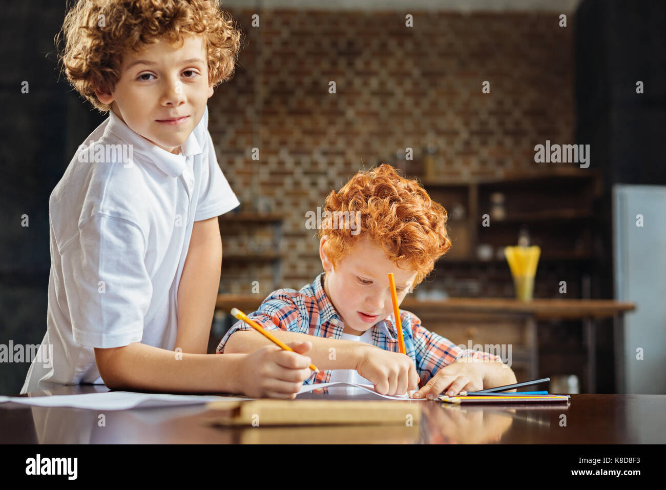 Curly haired brothers drawing together Stock Photo - Alamy