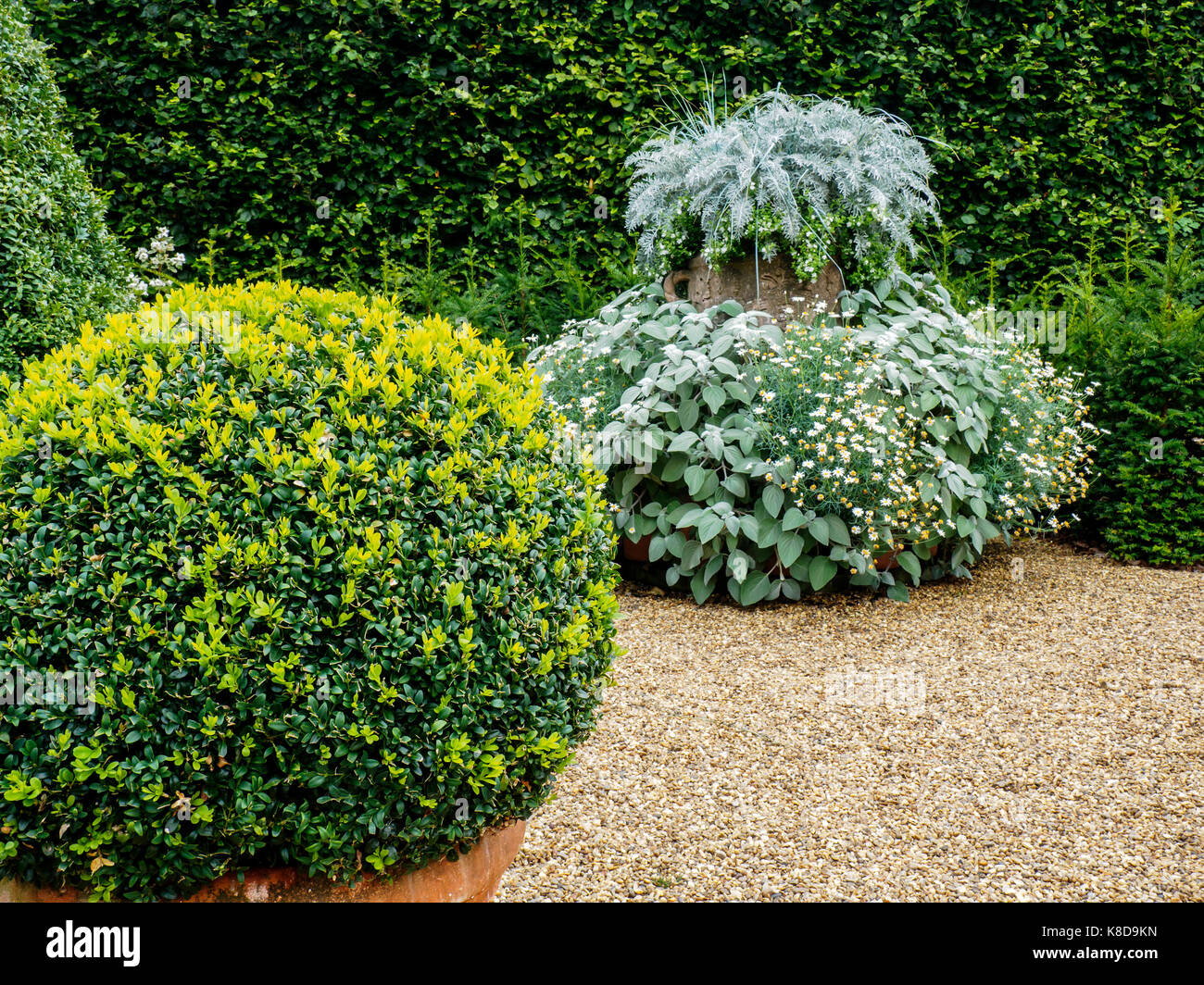 The Old Vicarage Garden in East Ruston, Norfolk, UK are a well known ...