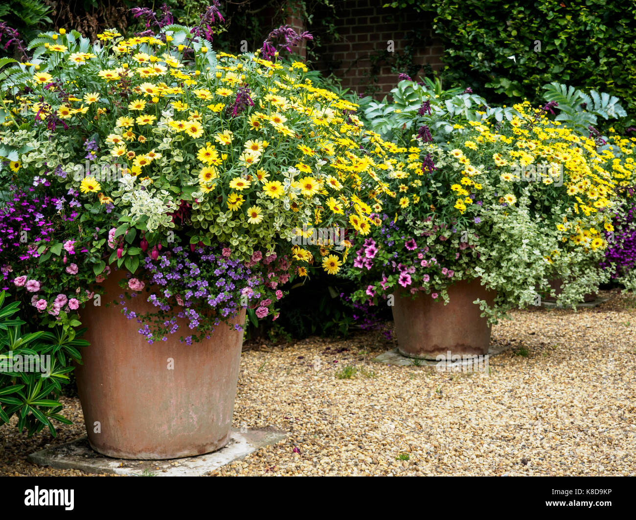 The Old Vicarage Garden in East Ruston, Norfolk, UK are a well known ...