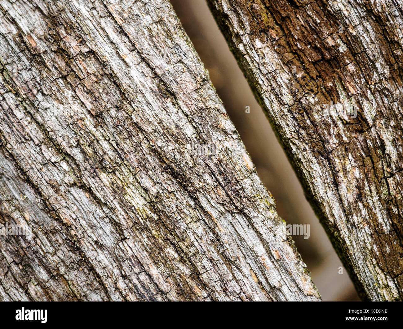 Old weathered timber showing signs of rot and weather damage Stock ...