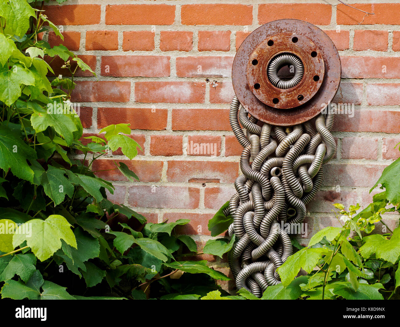 The Old Vicarage Garden in East Ruston, Norfolk, UK are a well known ...