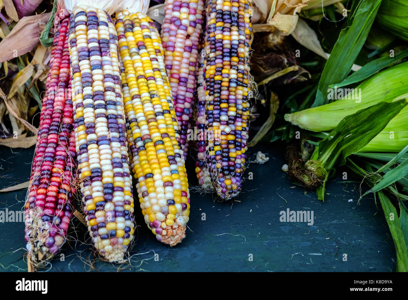 Multicolored Indian Corn at a fresh market Stock Photo - Alamy