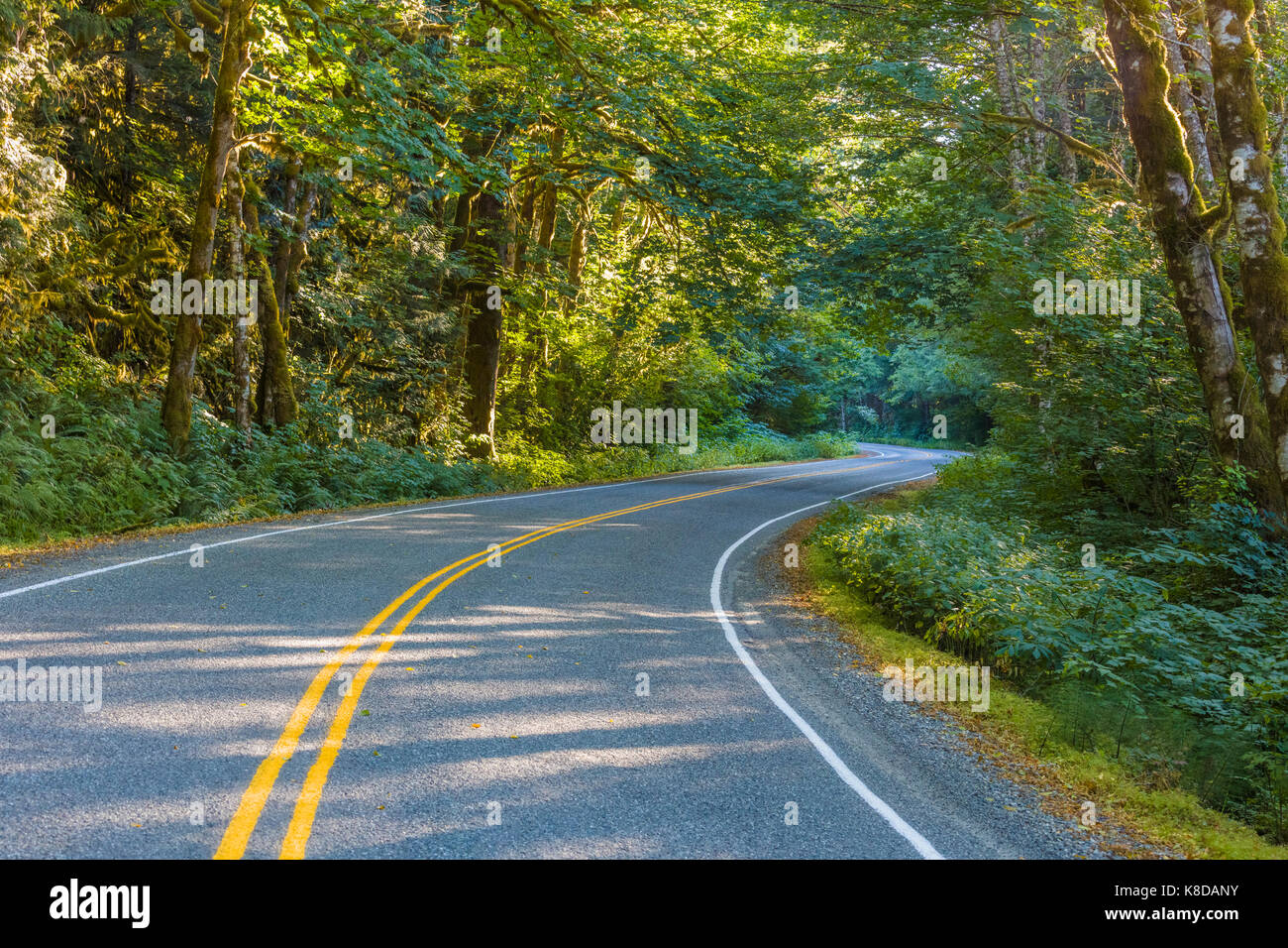 Rockport Cascade Road in Northwest Washington State Stock Photo - Alamy