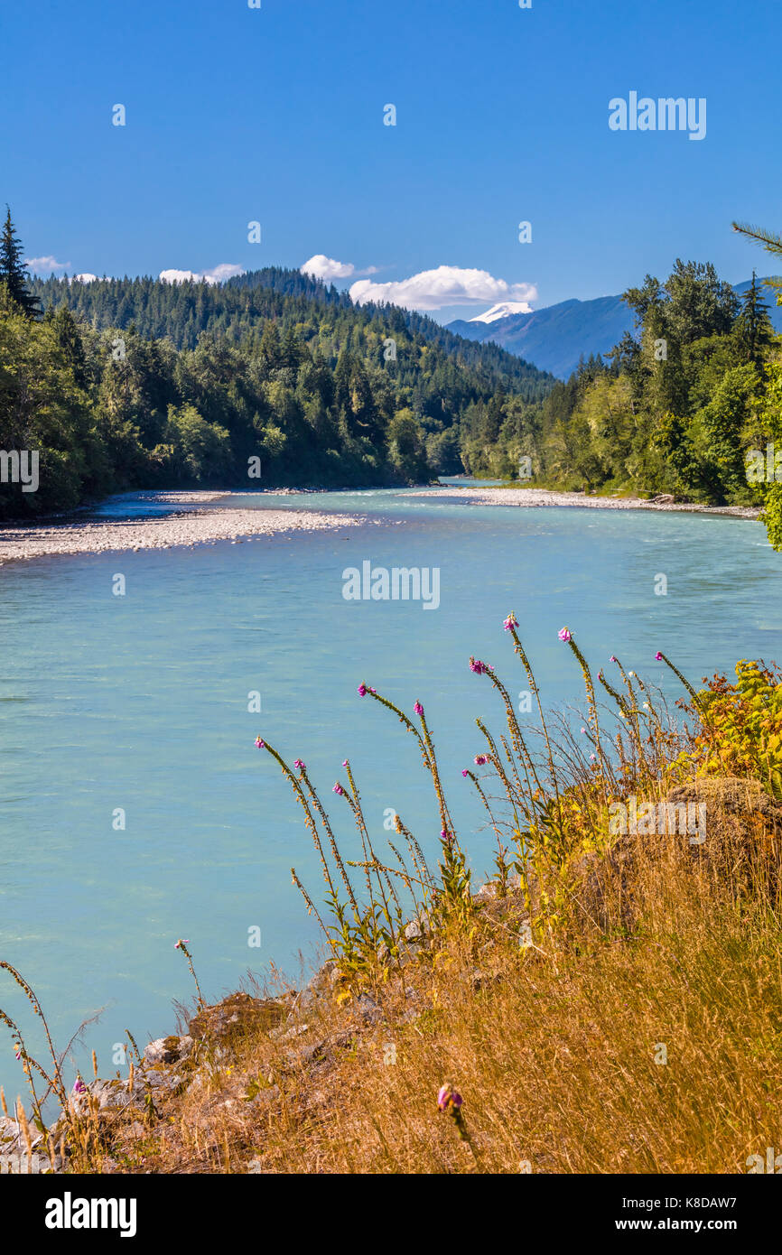 Sauk River in Northwest Washington State Stock Photo - Alamy